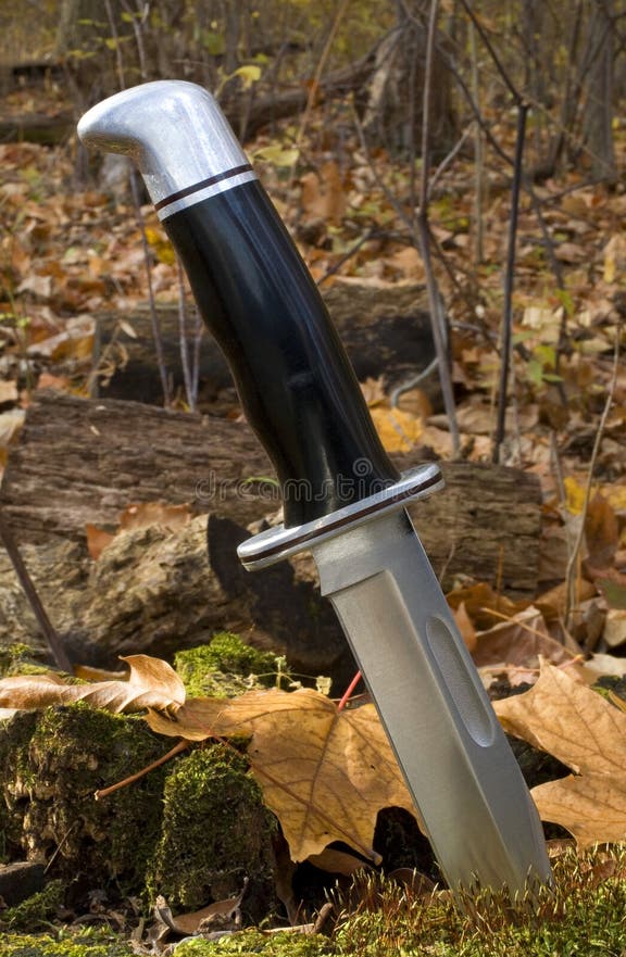 Zwart blad stock foto. Image of blad, rand, bladeren, staal - 7305314