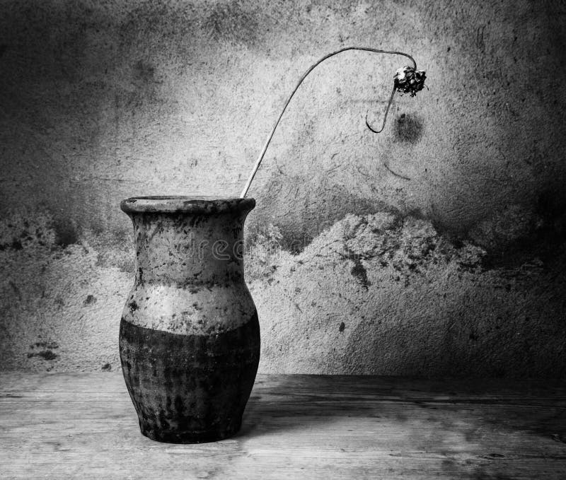 Zwart Wit Stilleven Tekeningen