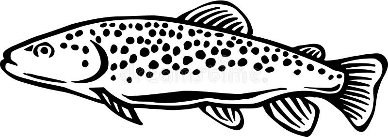 Illustratie Forel in Vector. Logo Voor Verpakking. Stock Illustratie ...