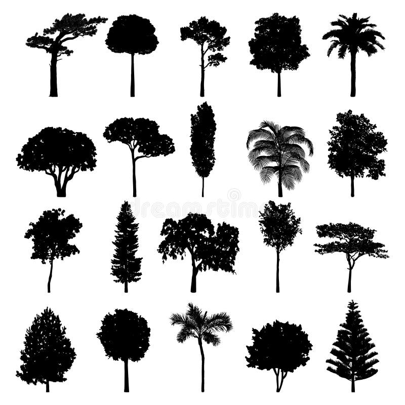 Zwarte Boomstructuur Met Boomvectorstructuur, Vectorstructuur Met ...