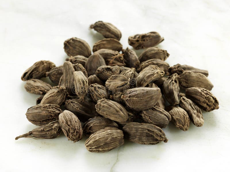 Zwarte kardemom stock foto. Image of besnoeiing, bruin - 23704316