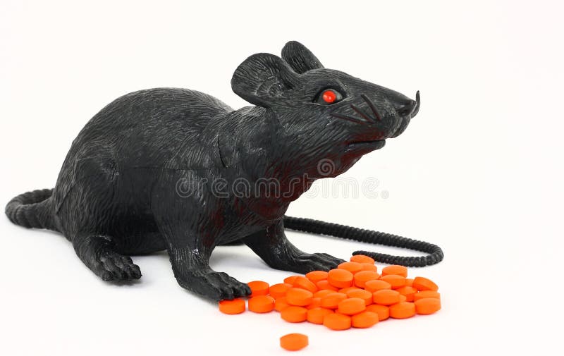 Zwarte Rat met Drugs stock afbeelding. Image of dekking - 9727113