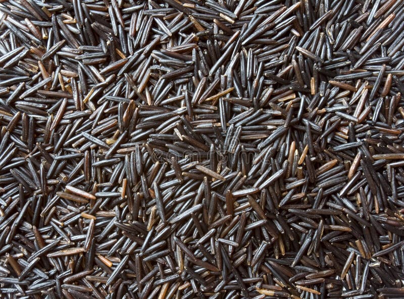 Zwarte rijst stock afbeelding. Image of granulariteit - 11258807