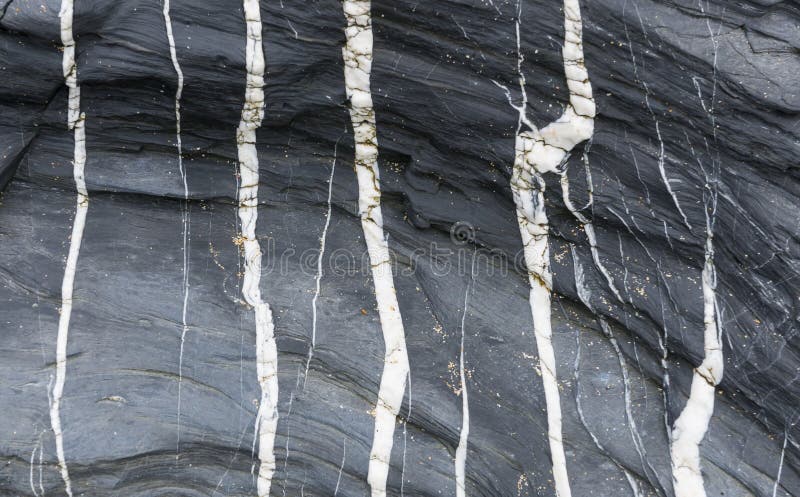 Zwarte Rots Met Witte Strepen Stock Afbeelding - Image of zwart ...