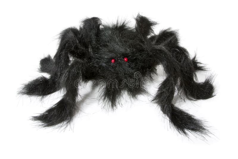 Zwarte Spin stock foto. Image of tarantula, decoratie - 6278206