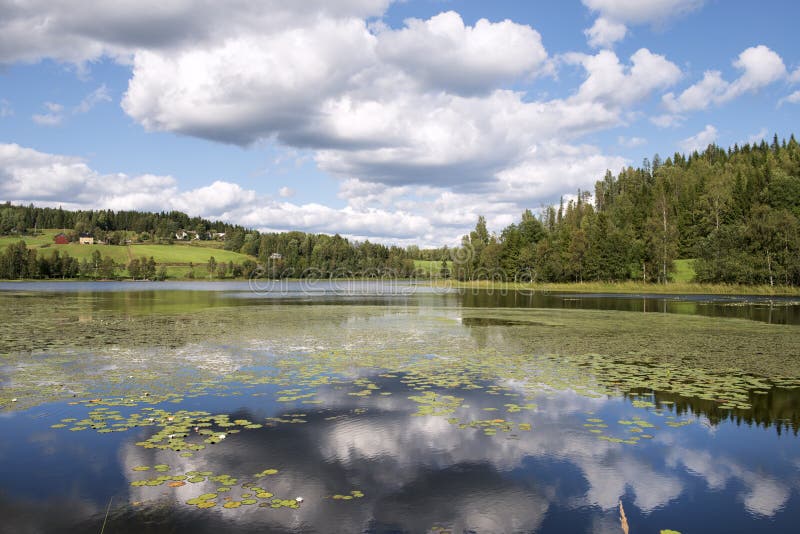 Zweeds Strand Dicht Bij De Oland-verbindingsbrug Stock Foto - Image of ...