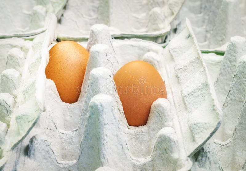 Zwei Eier Im Karton Fotos - Kostenlose und Royalty-Free Stock-Fotos von ...