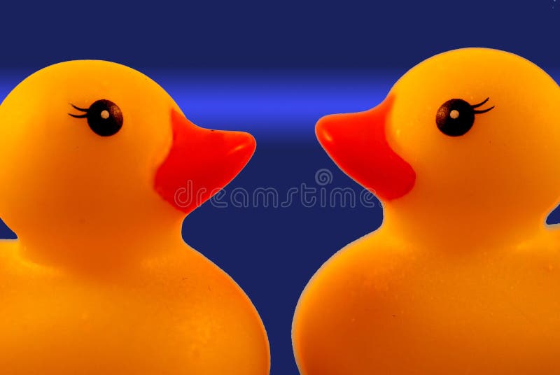 Zwei Enten, Die Sich Schauen Stockbild - Bild von freundlich, neigung ...