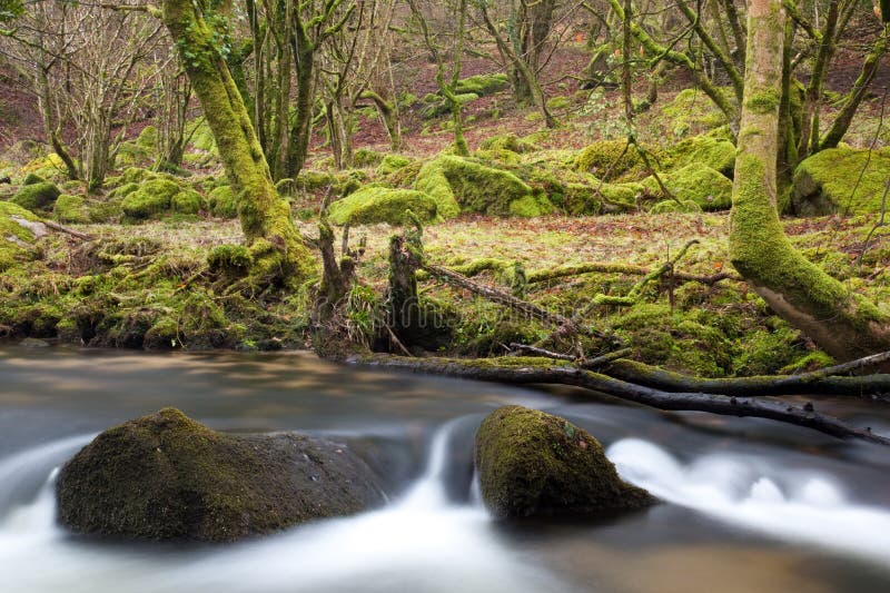 Zwei Felsen im Fluss Fowey stockbild. Bild von laufen - 18067607