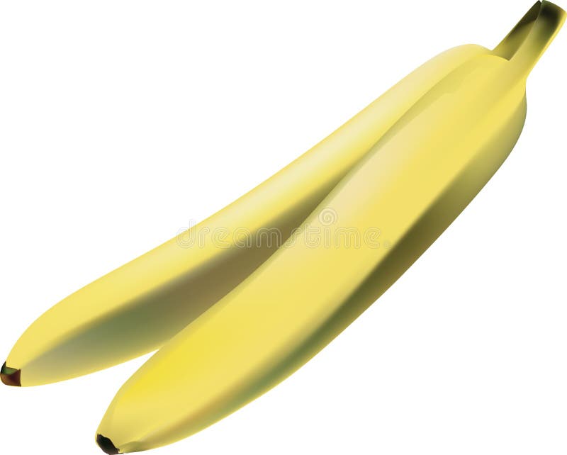 Zwei Gelbes Bananen Clipart Stock Abbildung - Illustration von ...