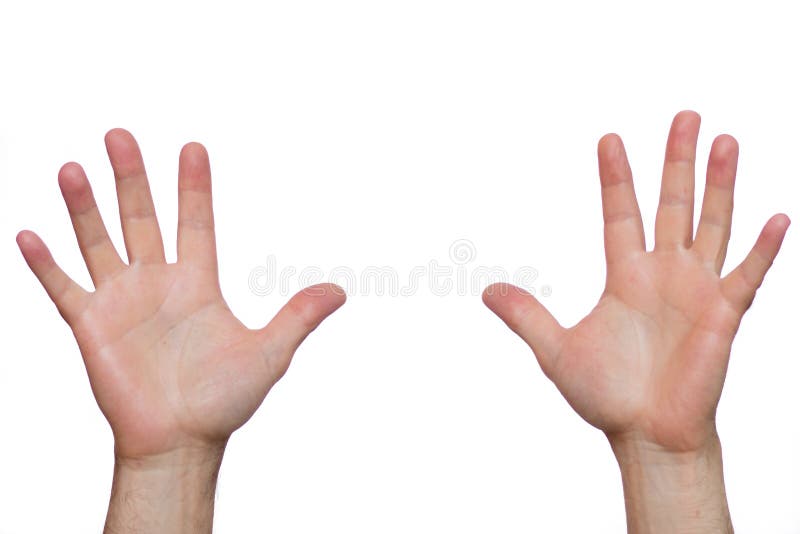 Zwei erhobene Hände stockbild. Bild von zwei, hände, reichweite - 54122615
