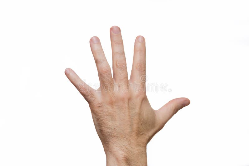 Zwei erhobene Hände stockbild. Bild von zwei, hände, reichweite - 54122615