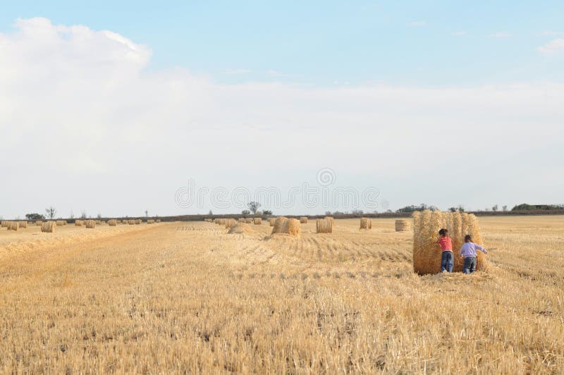Zwei Kinder, Die Garbe Heu Rollen Stockbild - Bild von draussen, herbst ...