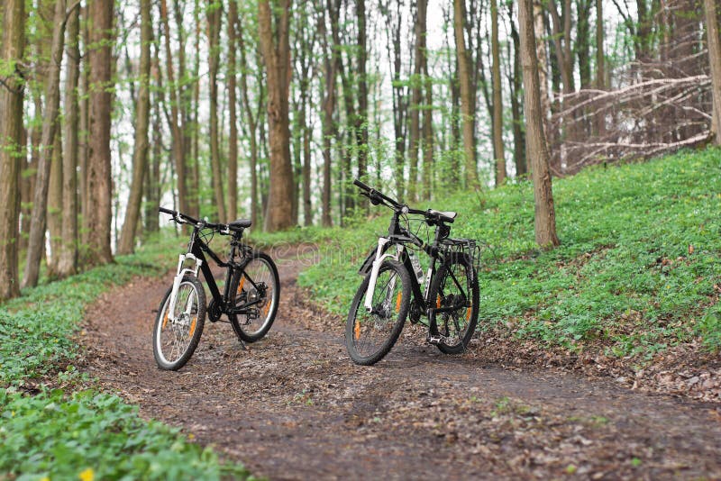 Zwei Fahrräder im Wald stockfoto. Bild von korb, fahrzeuge - 5330942