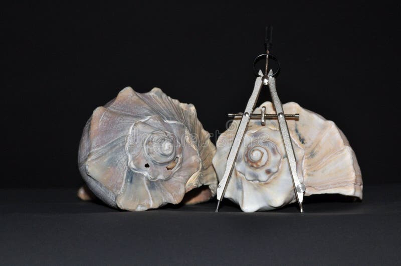 Zwei Pustel-Oberteile Mit Einem Kompass, Der Ein Der Shell-` S Spirale ...