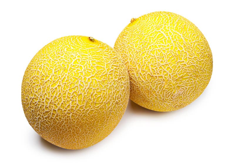 Zwei runde Melonen stockfoto. Bild von vegetarier, rund - 25594386