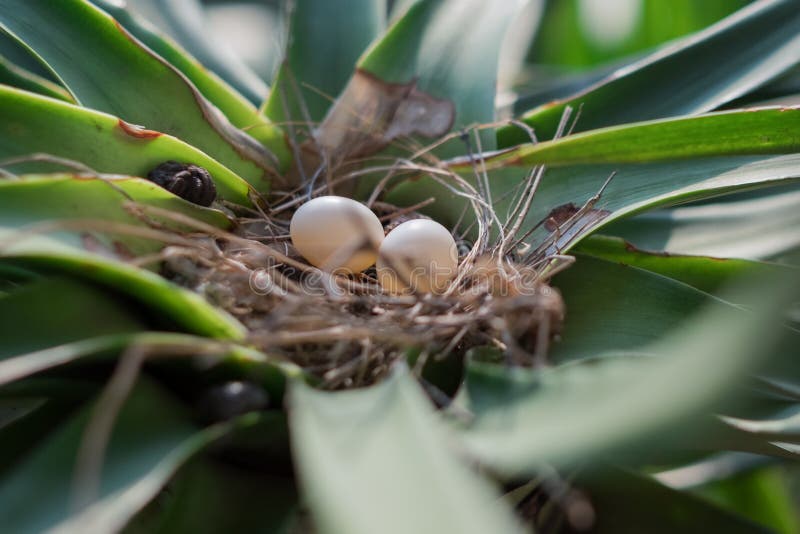 {Nummer} {Stichwort} Stock Fotos - Freie & Royalty-Free Stock Fotos von ...