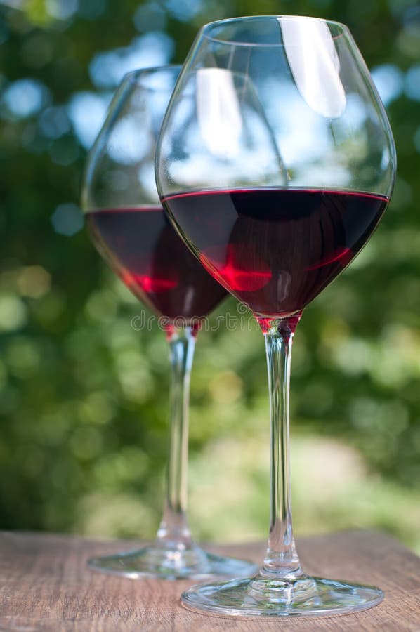 Zwei Weingläser im Garten stockbild. Bild von wein, aperitifs - 19794485