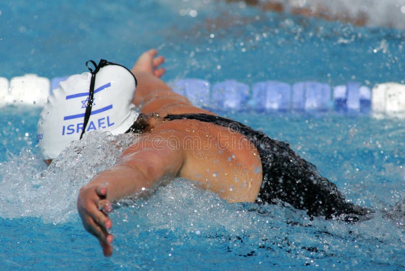 Zwemmende Vlinder Picture. Image: 6532349