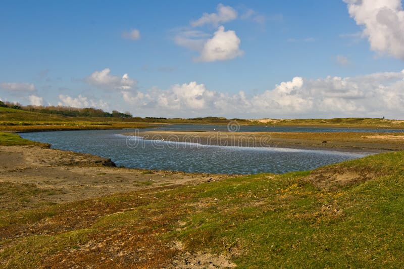 Zwin stock image. Image of current, natural, marsh, marshland - 7427345