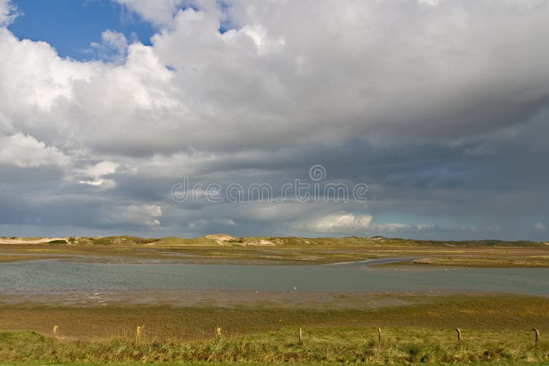 Zwin stock image. Image of seascape, floods, currents - 7427347