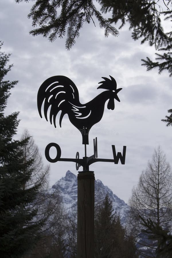 Zwitserse Weerhaan stock foto. Image of slag, richtingen - 573940