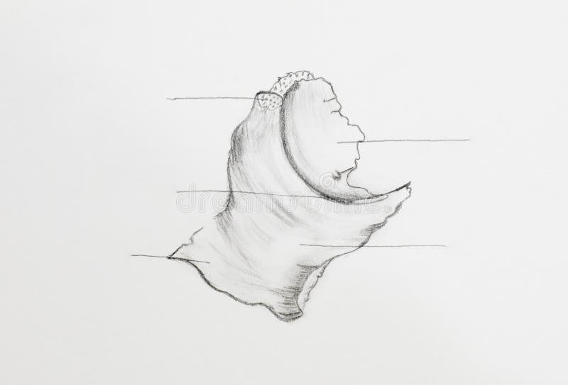 Zygomatic bone pencil stock photo. Image of horizontal - 35006366