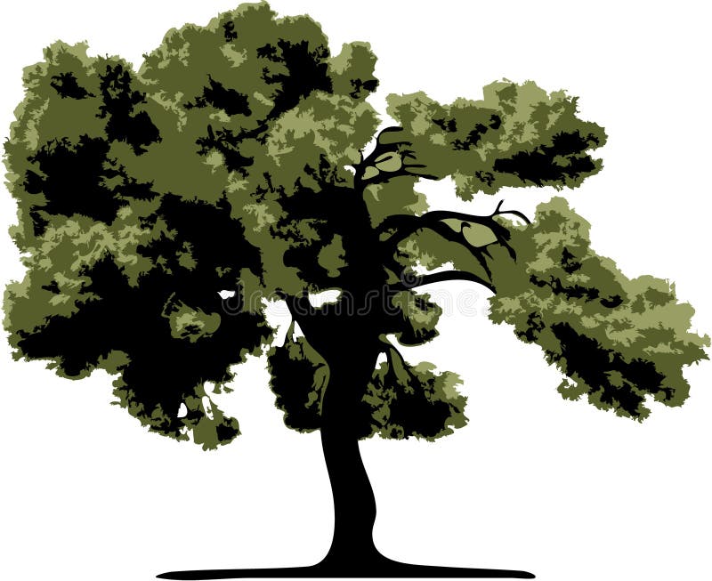 Árbol del vector ilustración del vector. Ilustración de contorno - 5028958