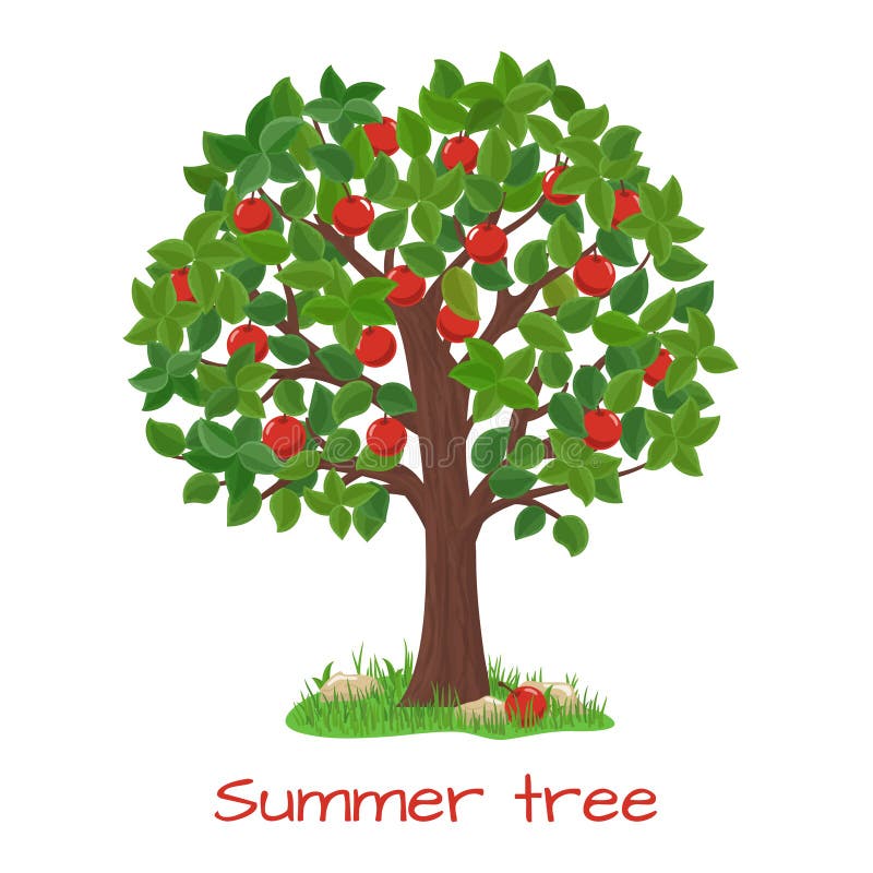 Árvore De Maçã Verde Vetor Da árvore Do Verão Ilustração Do Vetor
