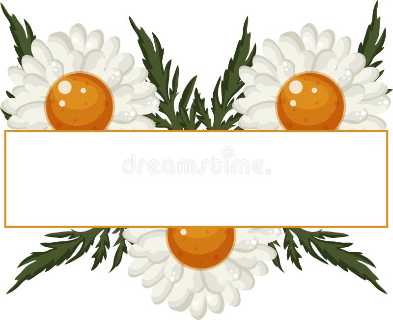 Floral Rectangular Frame with Various White Daisies Buds and with Green Leaves and a White ...