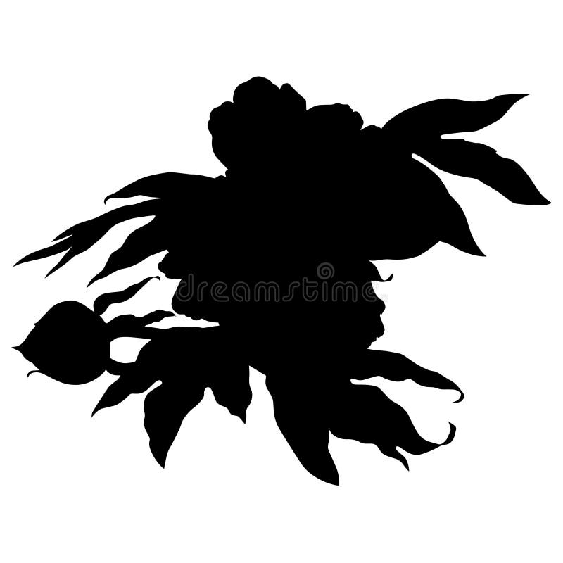 Hand Drawn Black Vector Silhouette Of Peony Stock Vector Illustration