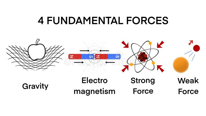 Animation of Physics, Fundamental Force, Four Fundamental Interactions ...