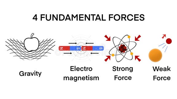 Animation of Physics, Fundamental Force, Four Fundamental Interactions, Gravitational and ...