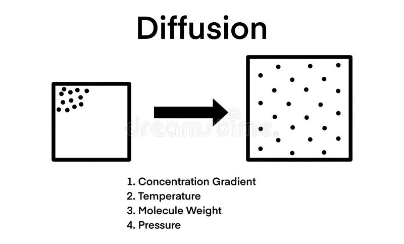Illustrating the Process of Diffusion, Particles Move from an Area of High Concentration Stock ...