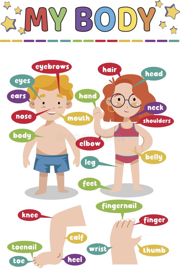 My Body. Learning Human Body Parts. Educational Illustration for Kids with Boy and Girl ...