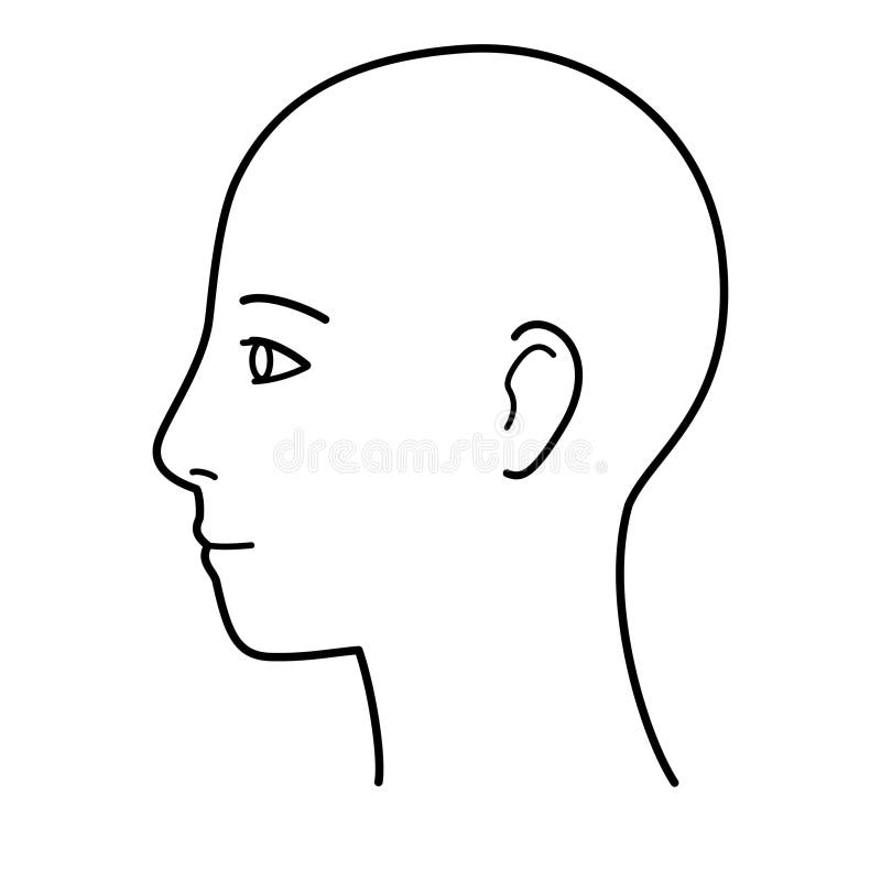 Human Head Model, Head Skin, Outline, Side View, Facing Left, Vector File Set Stock Vector ...
