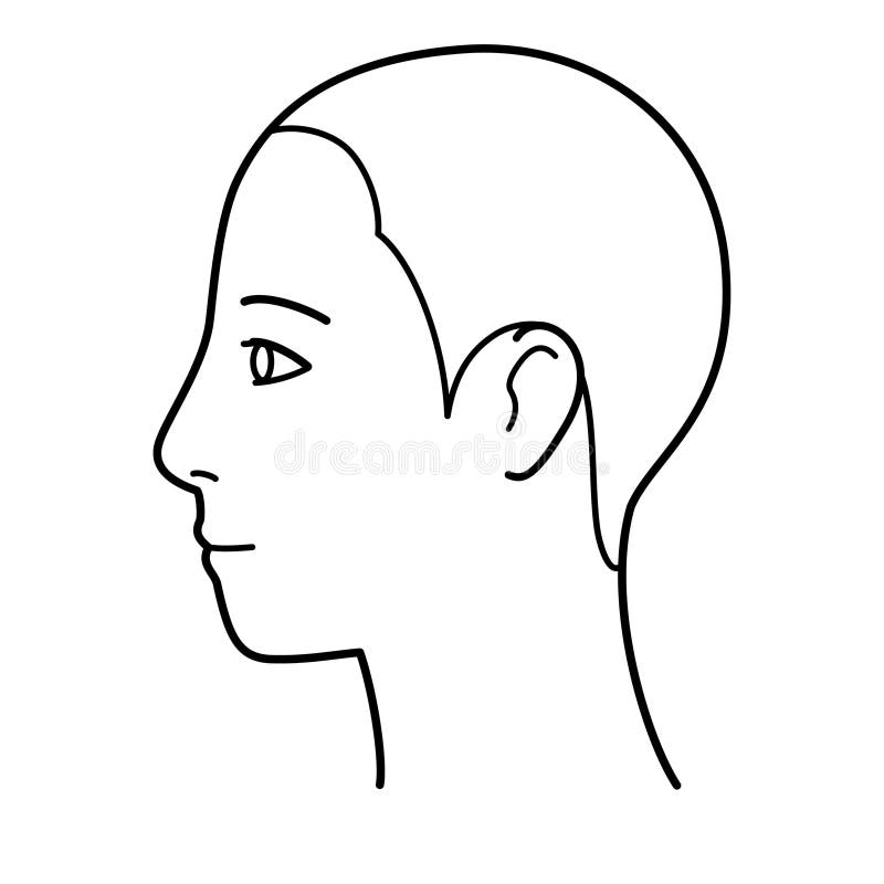 Human Body Model, Outline, Front, Back and Side, Vector File Set Stock Photo - Illustration of ...