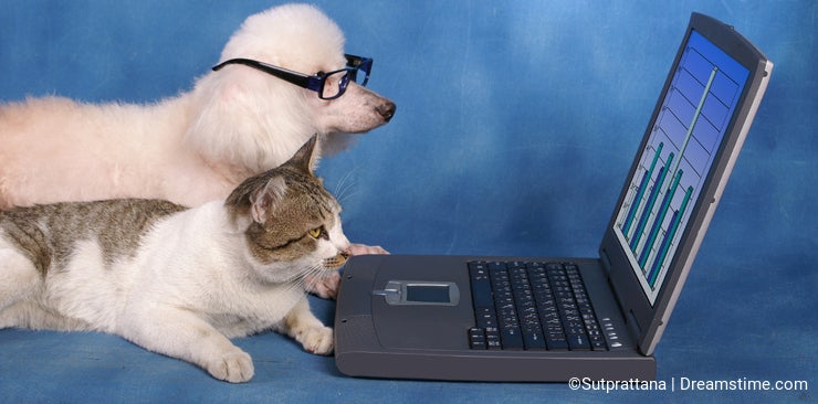 Dog Cat Computer - Dreamstime