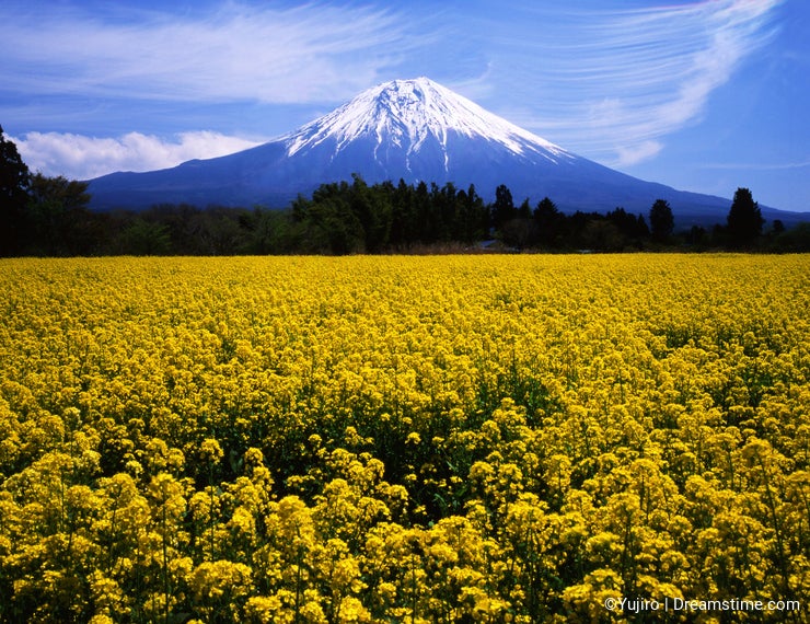 Creative Landscape Photography - Dreamstime