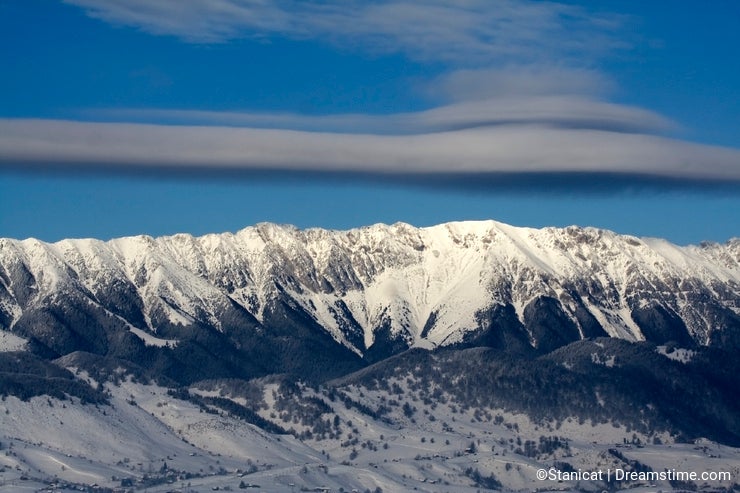 Alex Gavan - Dreamstime