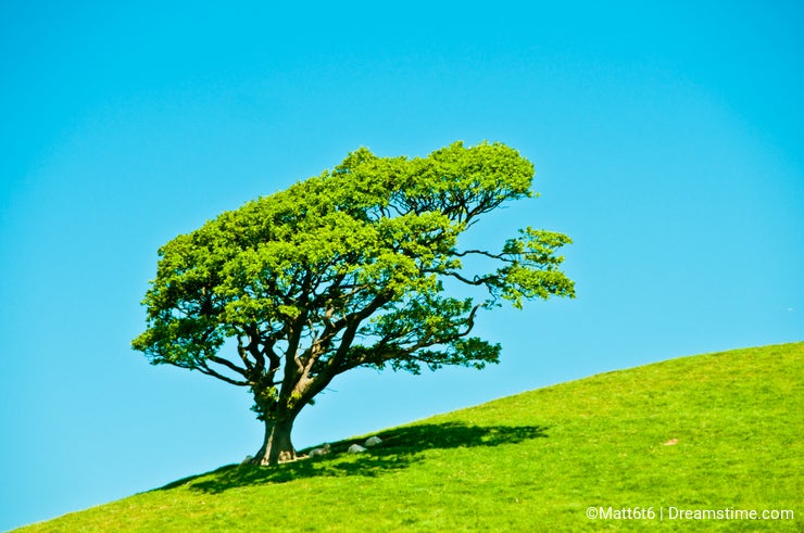 Weather - Dreamstime