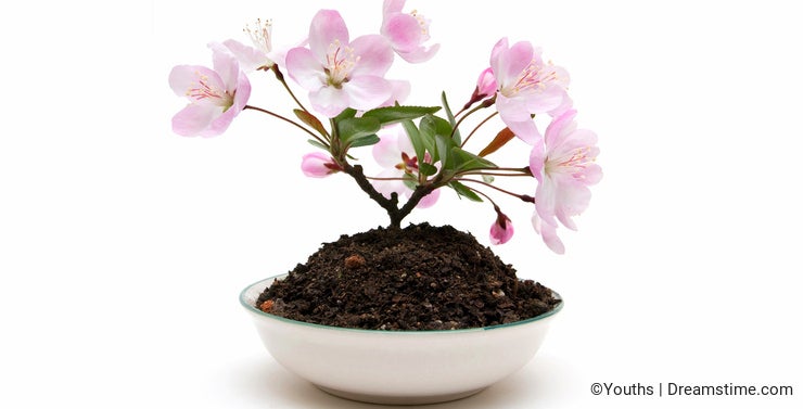 The spring of hope ! - Dreamstime