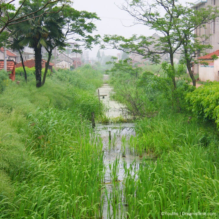 The spring of hope ! - Dreamstime