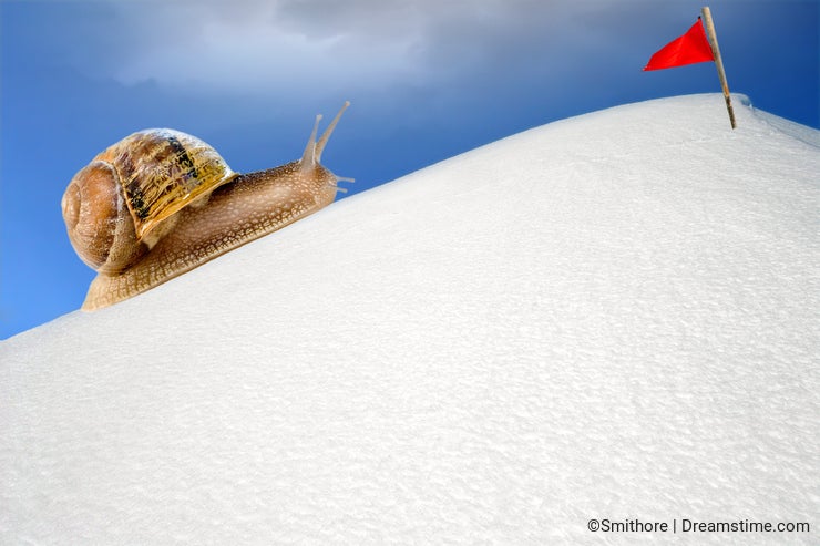 Falling at the last hurdle - Dreamstime