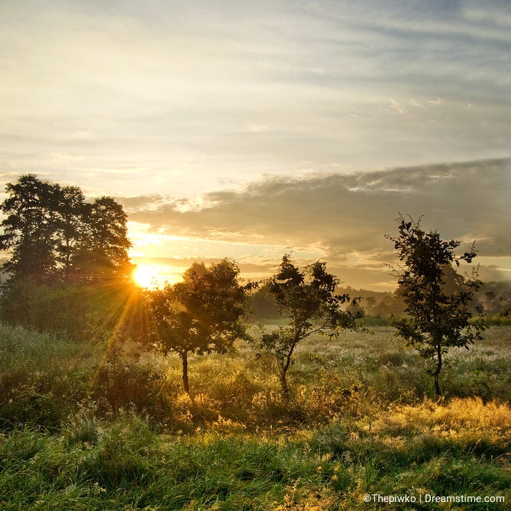 Another milestone has been reached! - Dreamstime