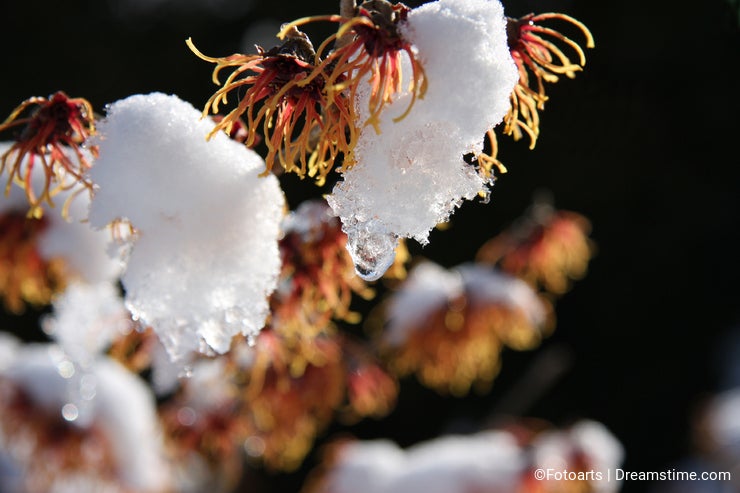 a first milestone reached - Dreamstime