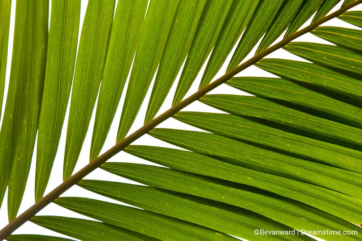 Ceilings, surfaces, textures and patterns (a small collection) - Dreamstime