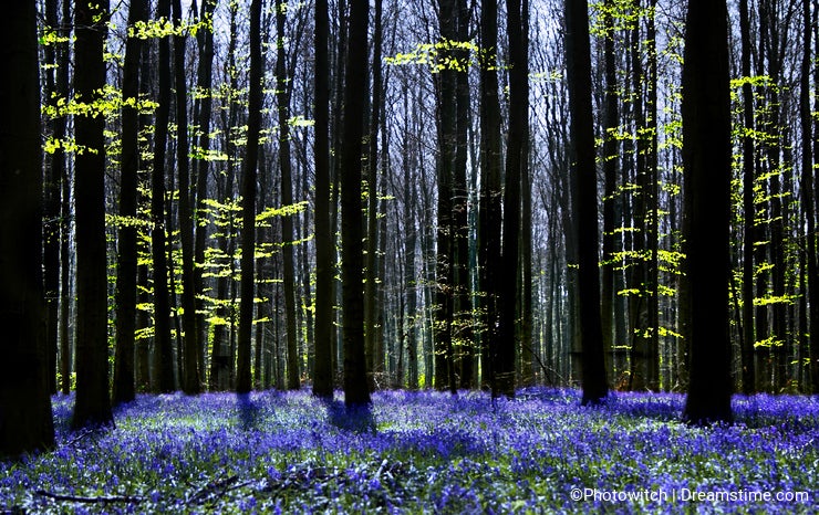 The Power of Color and Negative Space - Dreamstime