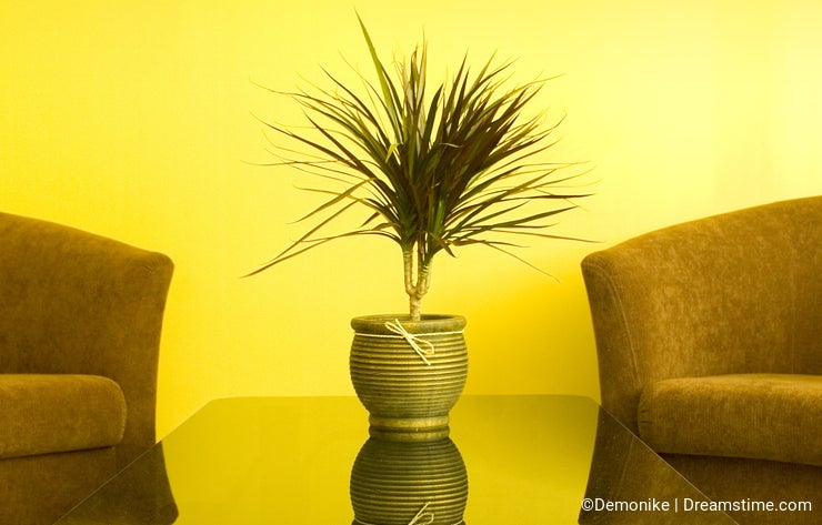 The Magic of Monotone Photos - Dreamstime