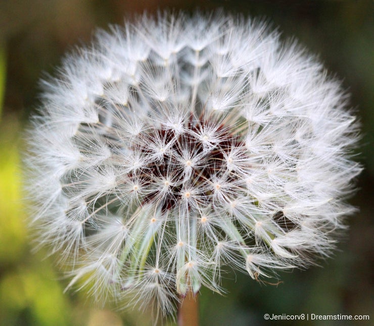 Threading pictures - Dreamstime